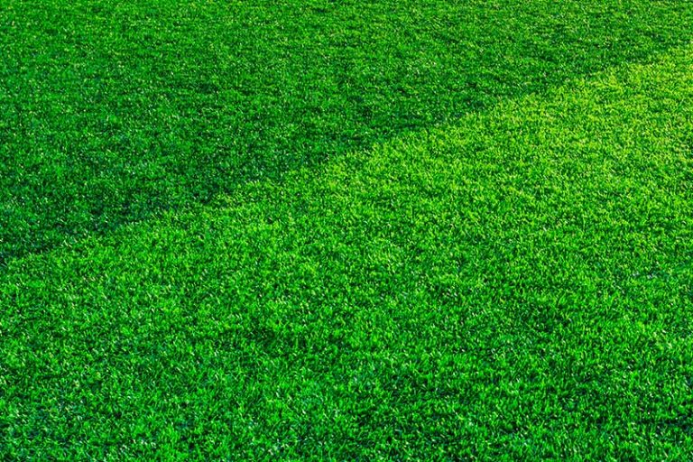 Artificial Turf Installation - Yards, Driveways, putting greens & more