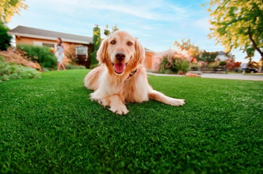 Synthetic Grass & Artificial Turf Across Florida - Southwest Greens Florida